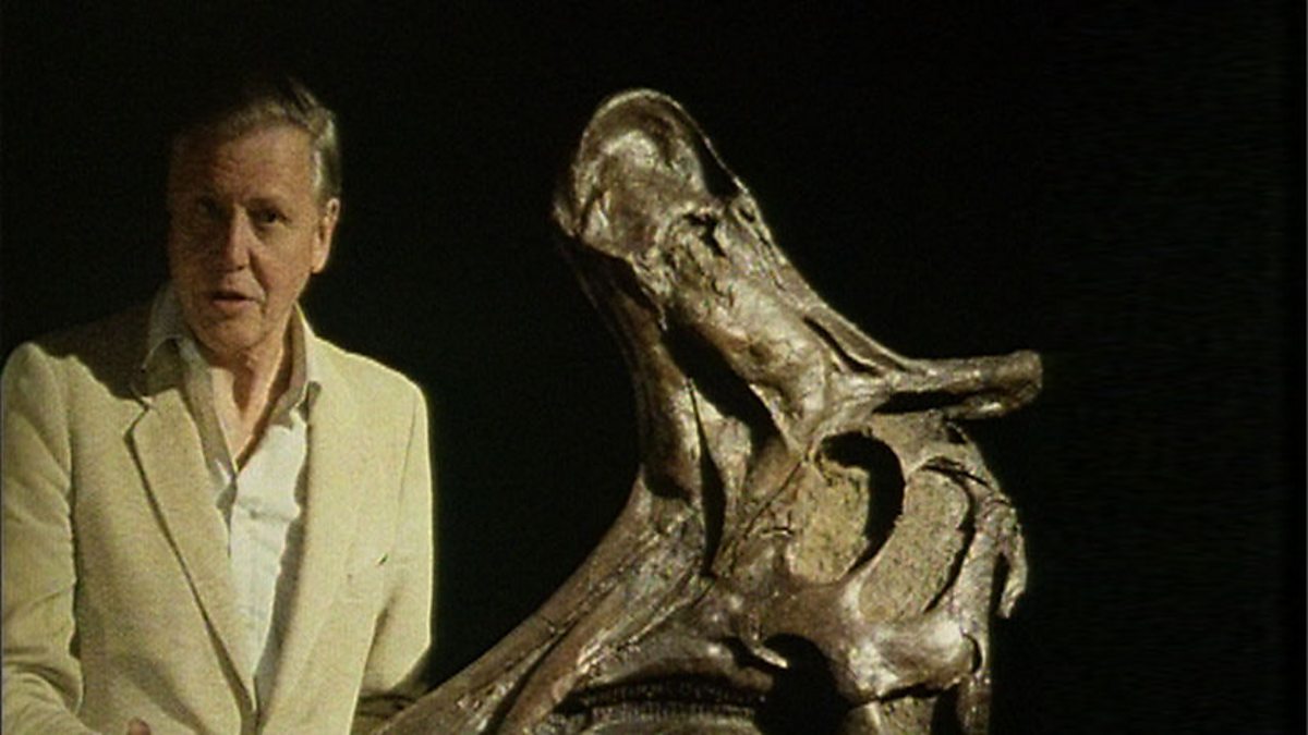 BBC Two - Lost Worlds, Vanished Lives, Dinosaur, Small, medium or large
