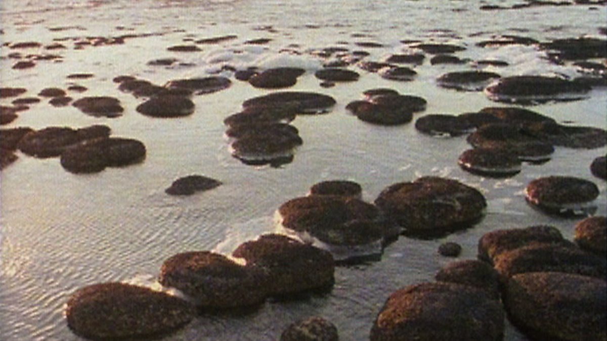 BBC Two - Life on Earth, The Infinite Variety, Signs of first life