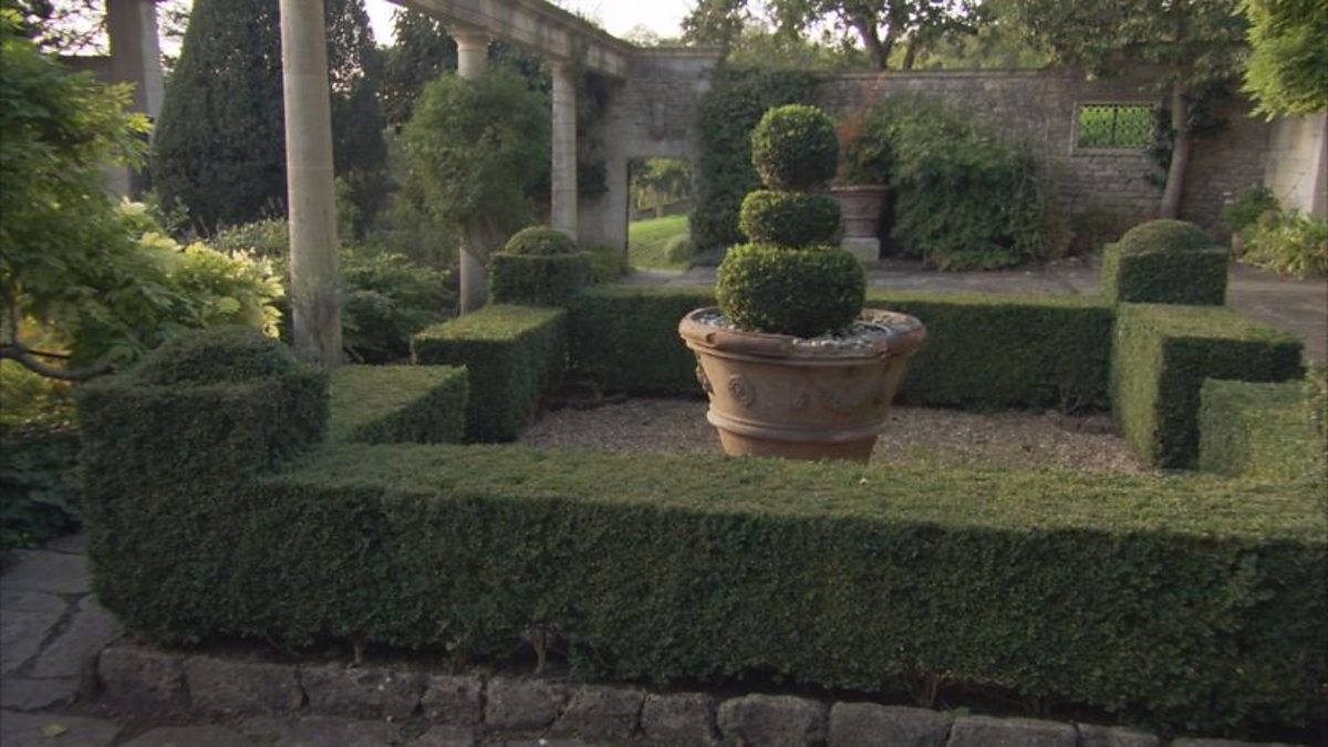 BBC Two - Gardeners' World, 2010, Episode 28, How to propagate box