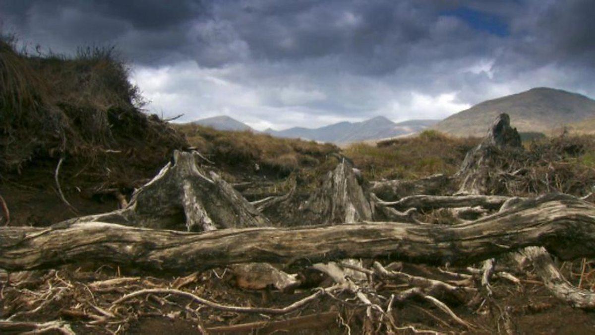 BBC Scotland - BBC Scotland - The most remote railway station in ...