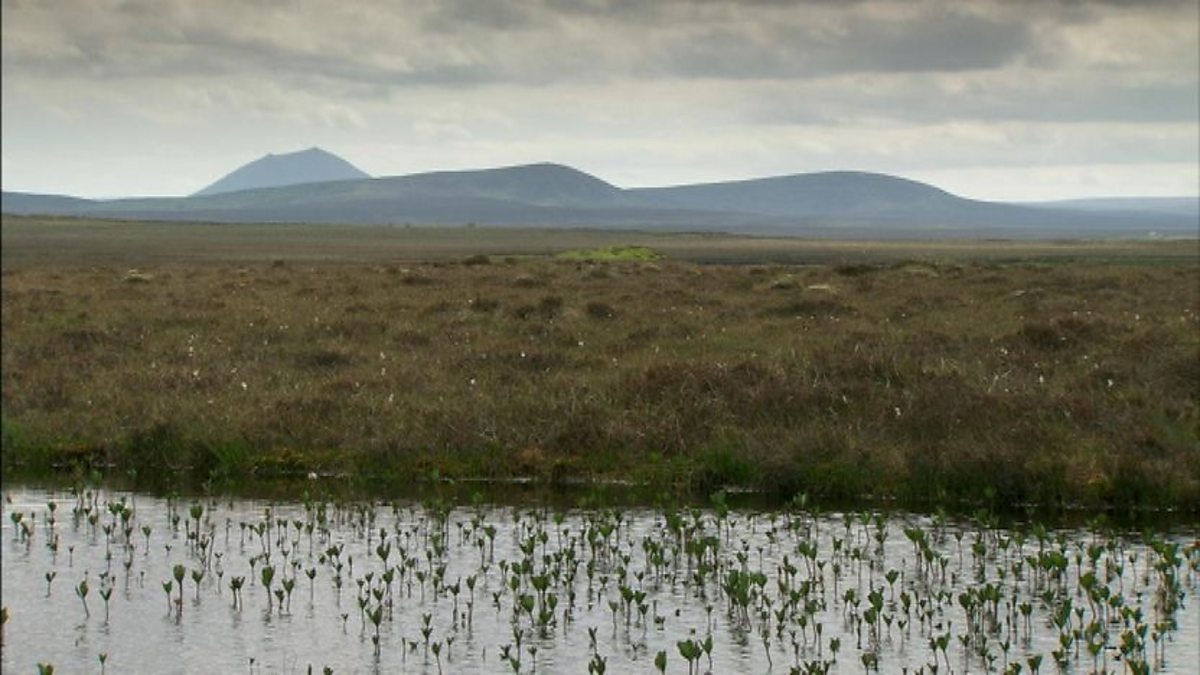 BBC One - Making Scotland's Landscape, Scotland's Water, The Flow Country