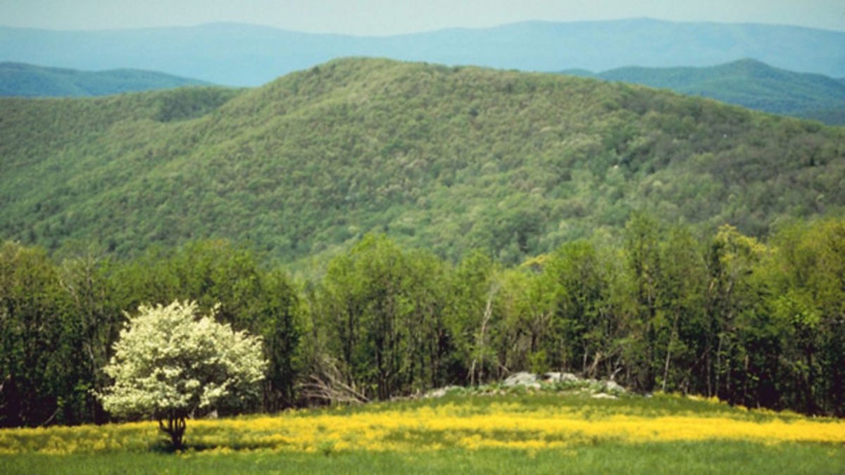 BBC Radio Ulster - Pioneers and Presidents, Series 2, Irish in America ...