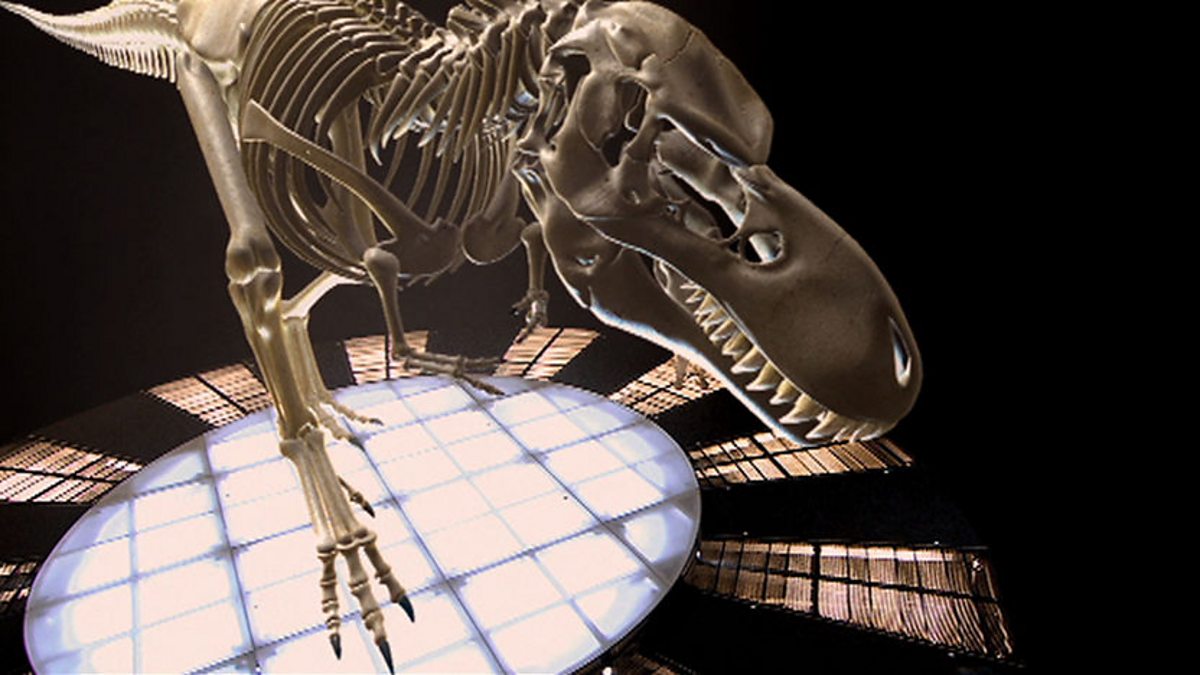 BBC One - The Truth About Killer Dinosaurs, Episode 1, Fleshing out T-rex bones