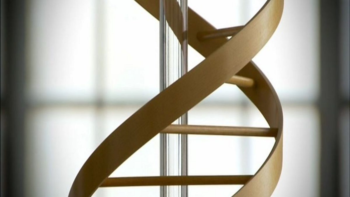 BBC Four - The Beauty of Diagrams, DNA, Visualising an idea