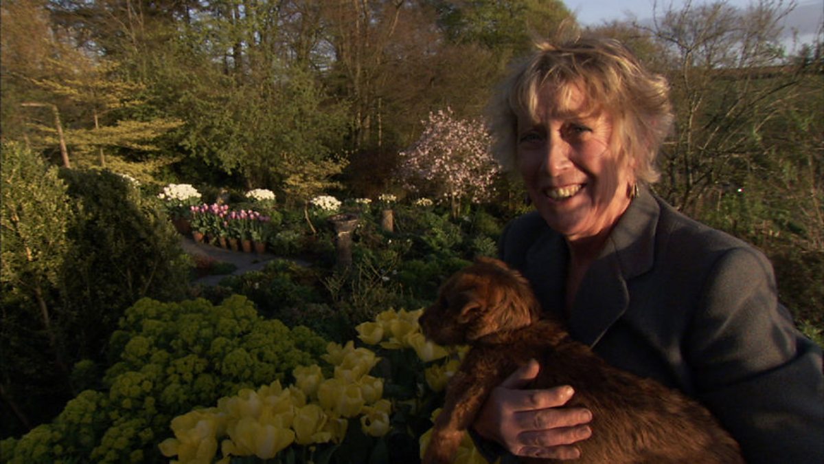 BBC Two - Life in a Cottage Garden with Carol Klein, Series 1, Winter ...