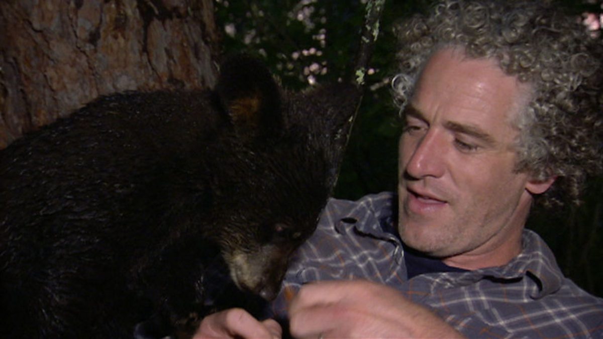 BBC Two - The Bear Family and Me, Summer, Cupboard love