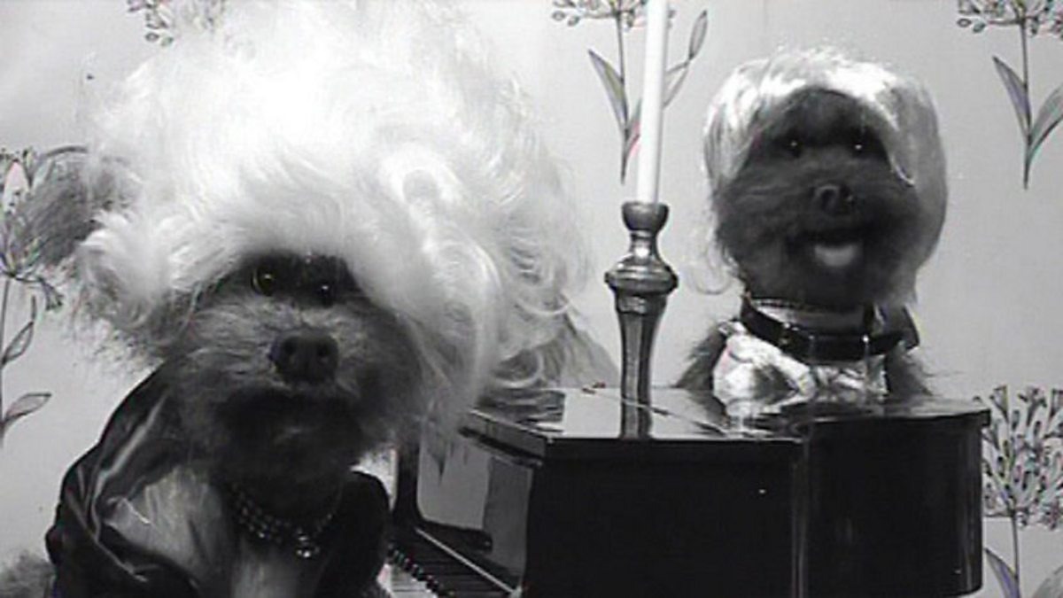 CBBC - Iain and Hacker, Dodge and Hacker