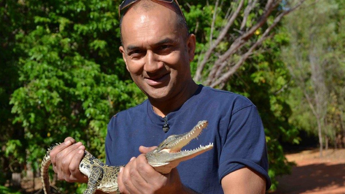 BBC News - The Travel Show - Rajan Datar