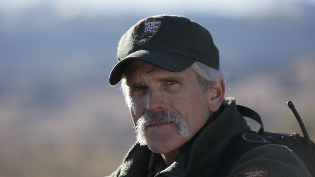 BBC Two - Horizon, 2010-2011, Predators in Your Backyard, Wolf kill ...