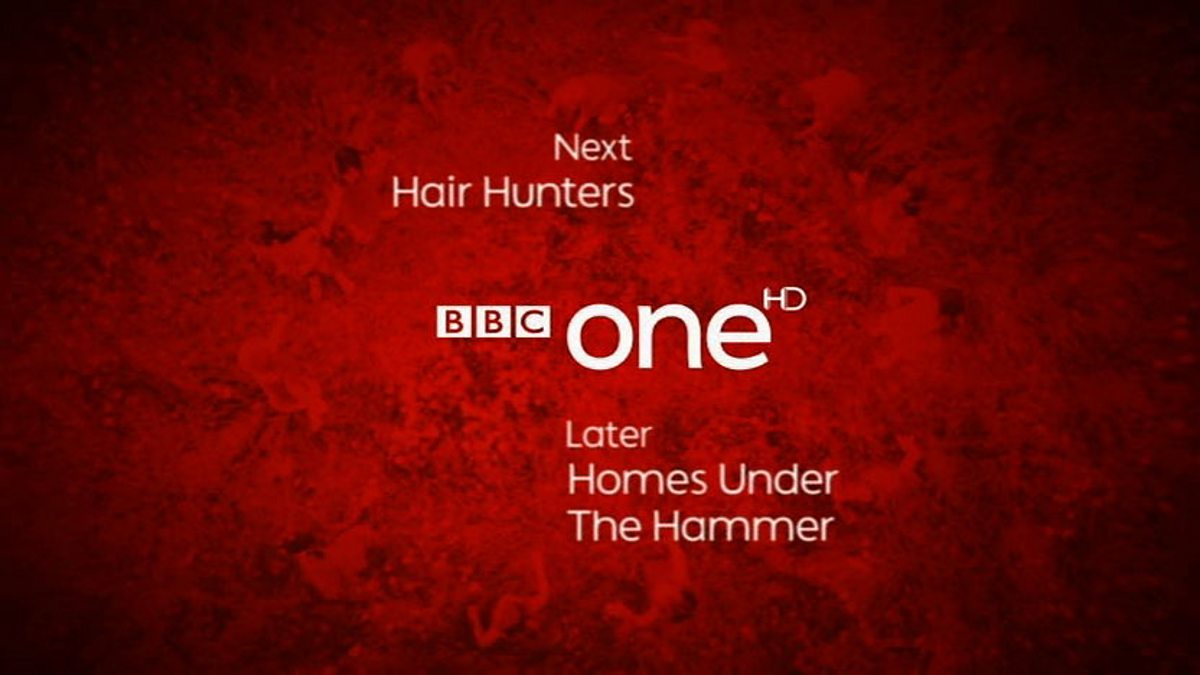 BBC - Points of View - Extra Features, Heir Hunters Howler