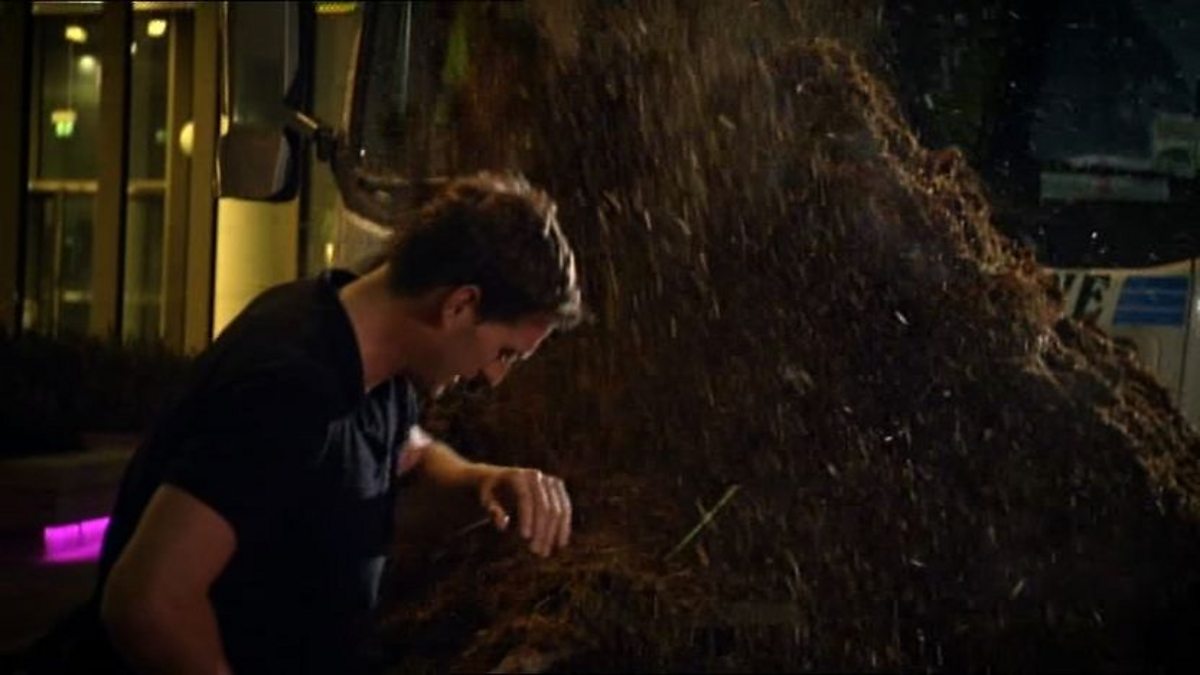 BBC Two - Filthy Cities, Dan Snow's Dirty Words and Filthy Phrases