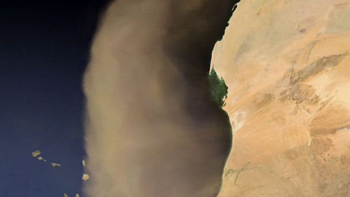 BBC Two - Earth: The Power of the Planet, Atmosphere, Wind feeds life