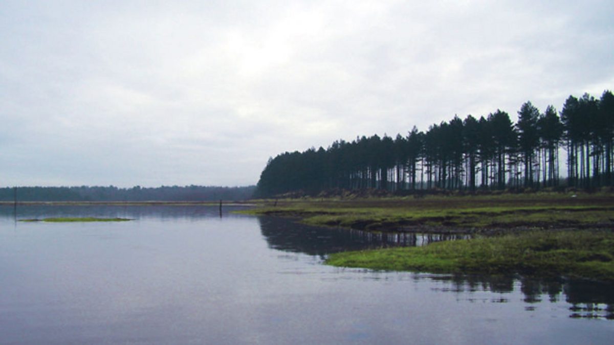 BBC Radio Scotland - Walking Through Landscape, The Climate - Culbin ...