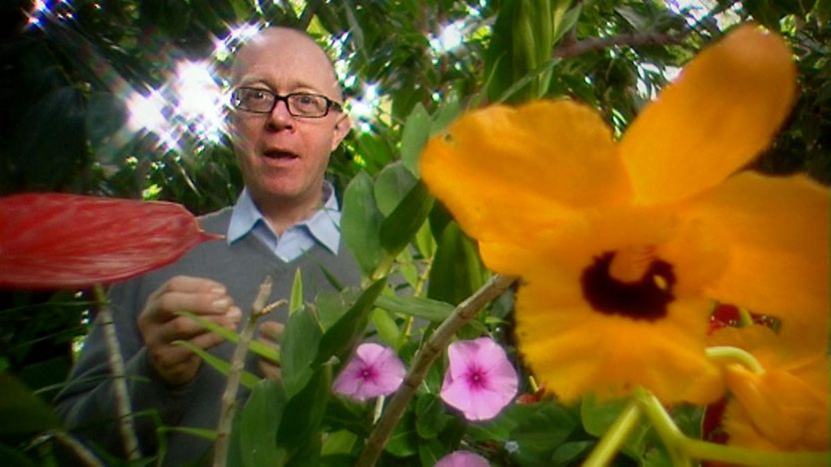 BBC Four - Botany: A Blooming History, Photosynthesis, Botany: A ...