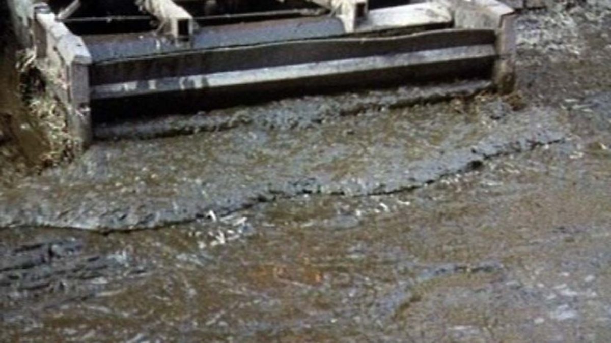BBC Two - How Green, Poison in the Well, How Farm Slurry Pollutes