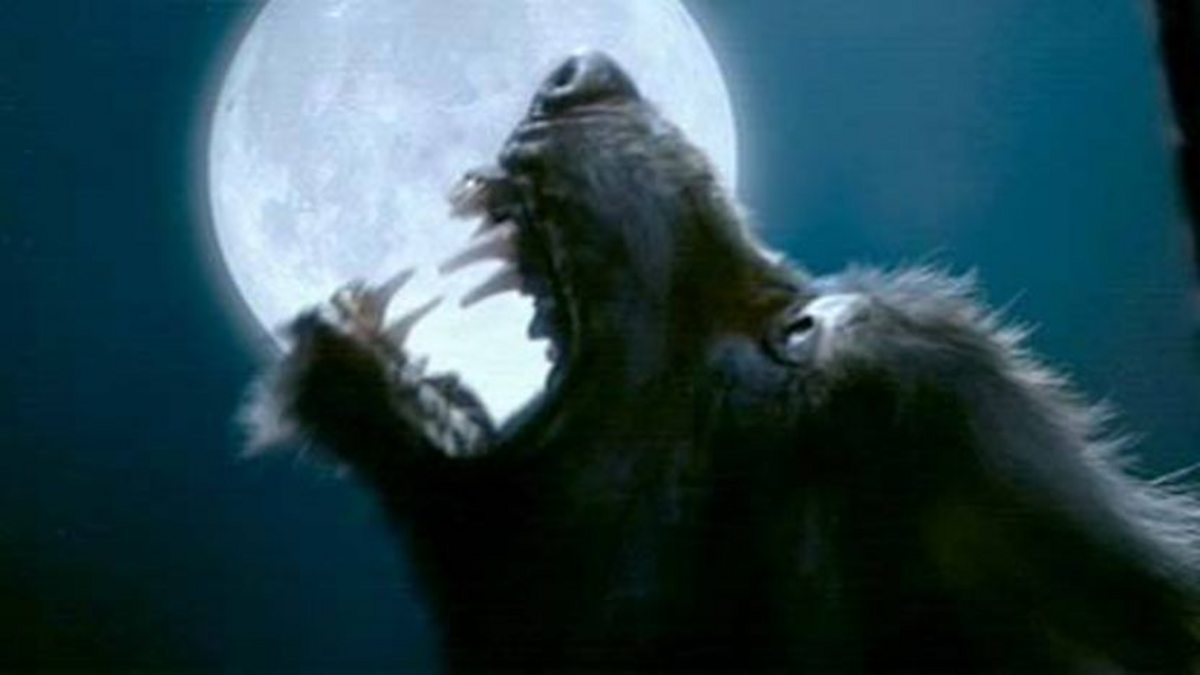 BBC One - Doctor Who (2005–2022), Series 2, Tooth and Claw, Episode Trailer