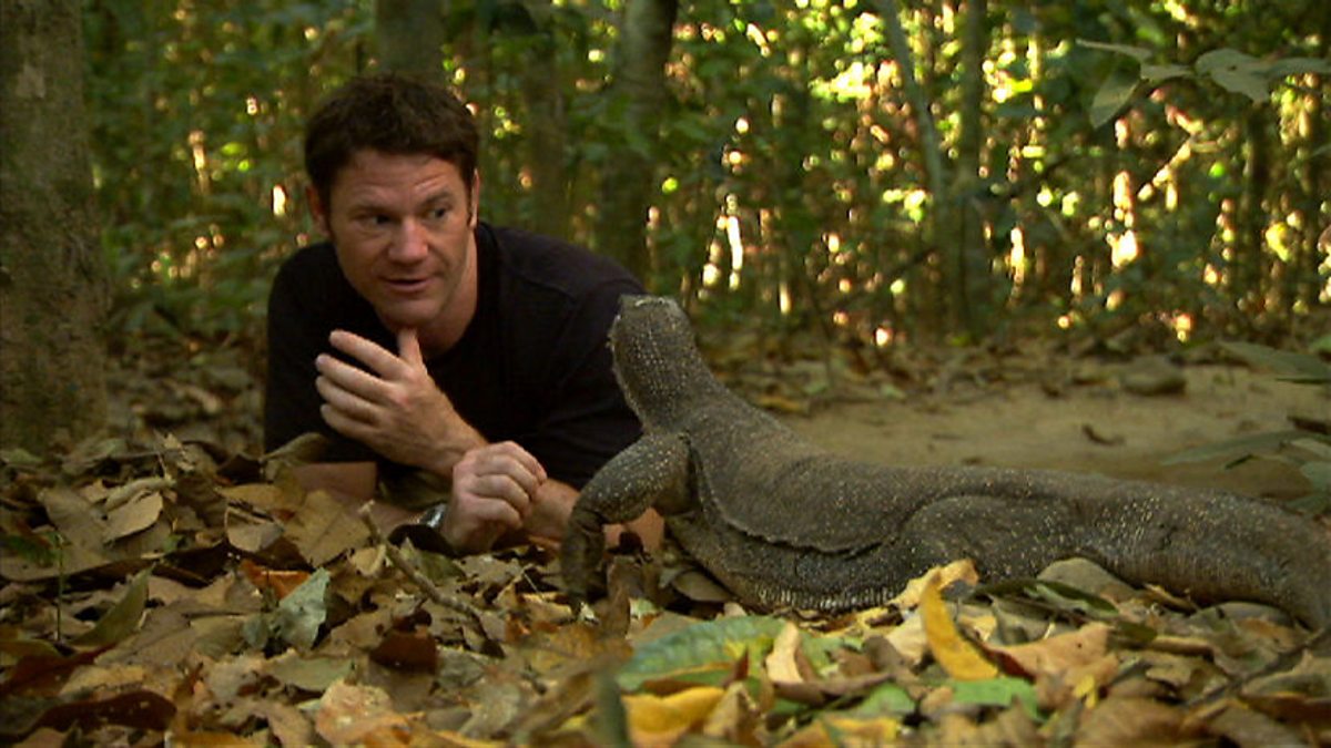BBC One - Deadly 60 on a Mission, Water monitor lizard