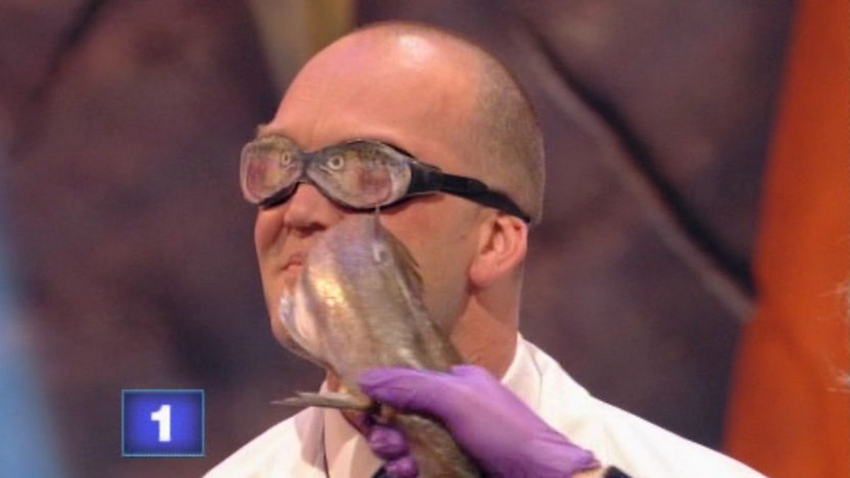 BBC One - Epic Win, Fish Slap