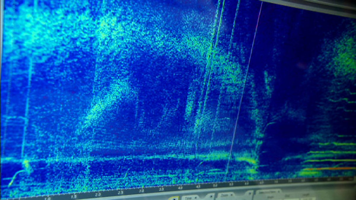 BBC One - Ocean Giants, Voices of the Sea, Stunning sound effects