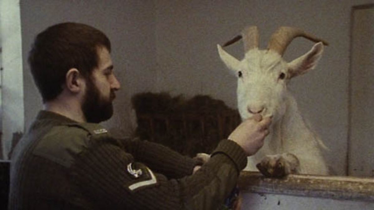 BBC - In the Highest Tradition, Episode 1, Regimental Goat Mascot