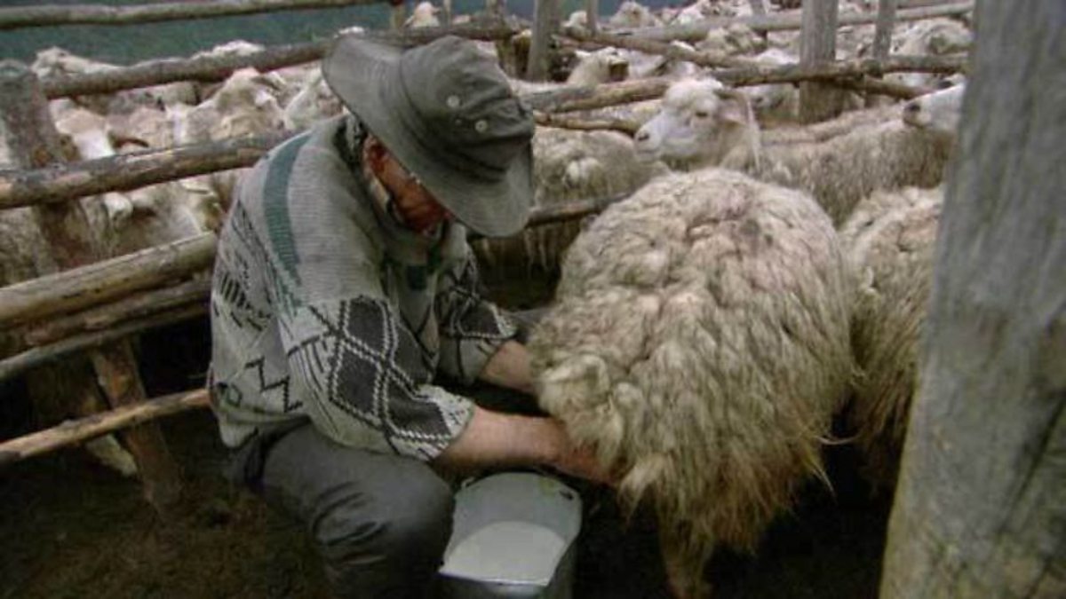 BBC ALBA - Soillse, Series 3, Samucha, Am Buachaille/The Last Shepherd ...