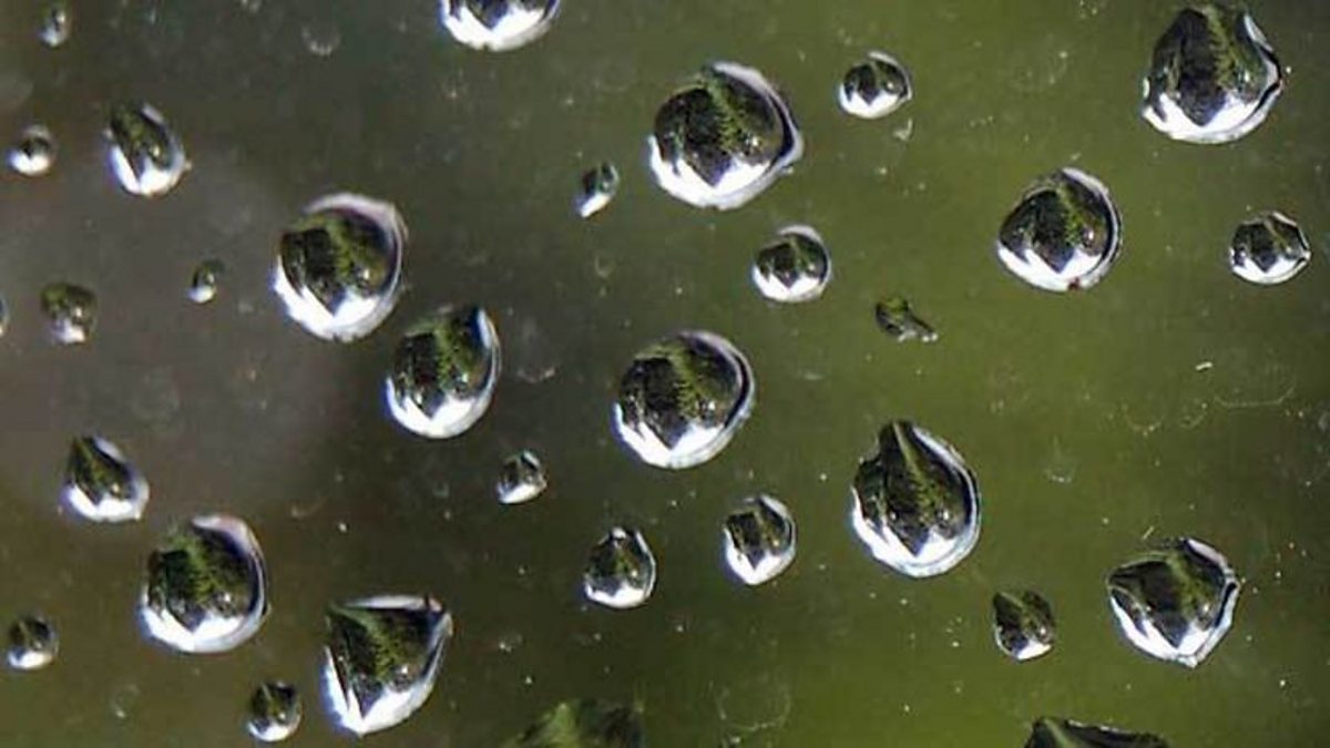 BBC Radio 4 - Moments of Genius, Moments of Genius