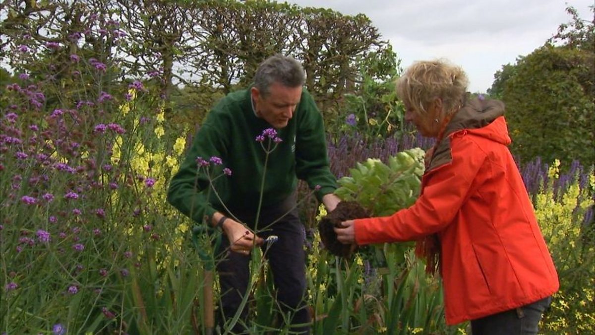 BBC Two - Gardeners' World, 2011, Episode 23, Planting a shrub