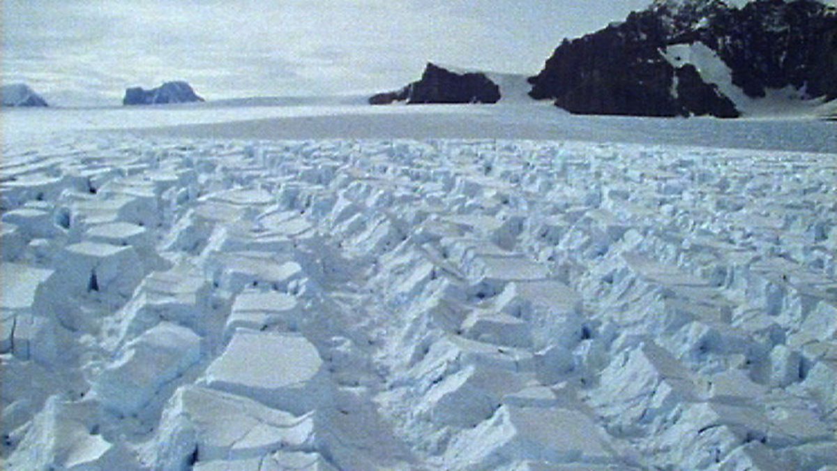 BBC Two - Life in the Freezer, Footsteps in the Snow, Splendid isolation