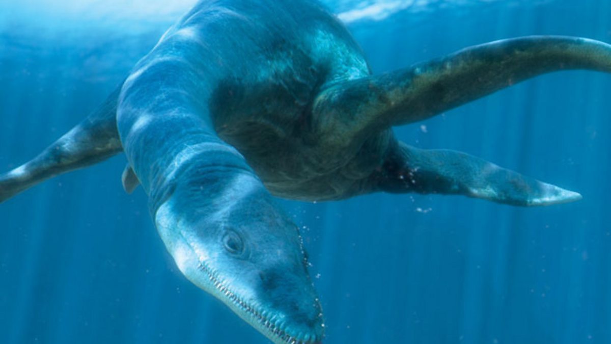 CBBC - Planet Dinosaur Files, Kings of the Waterworld, Planet Dinosaur ...