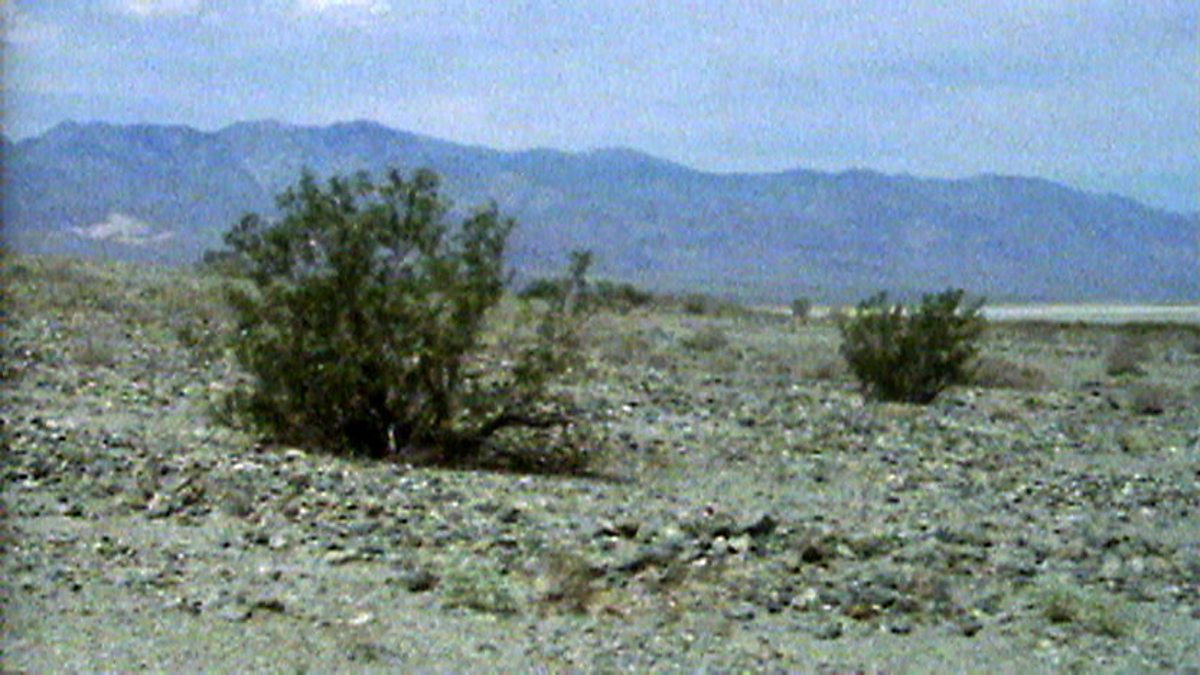 BBC Two - The Living Planet, The Baking Deserts, Furnace flora