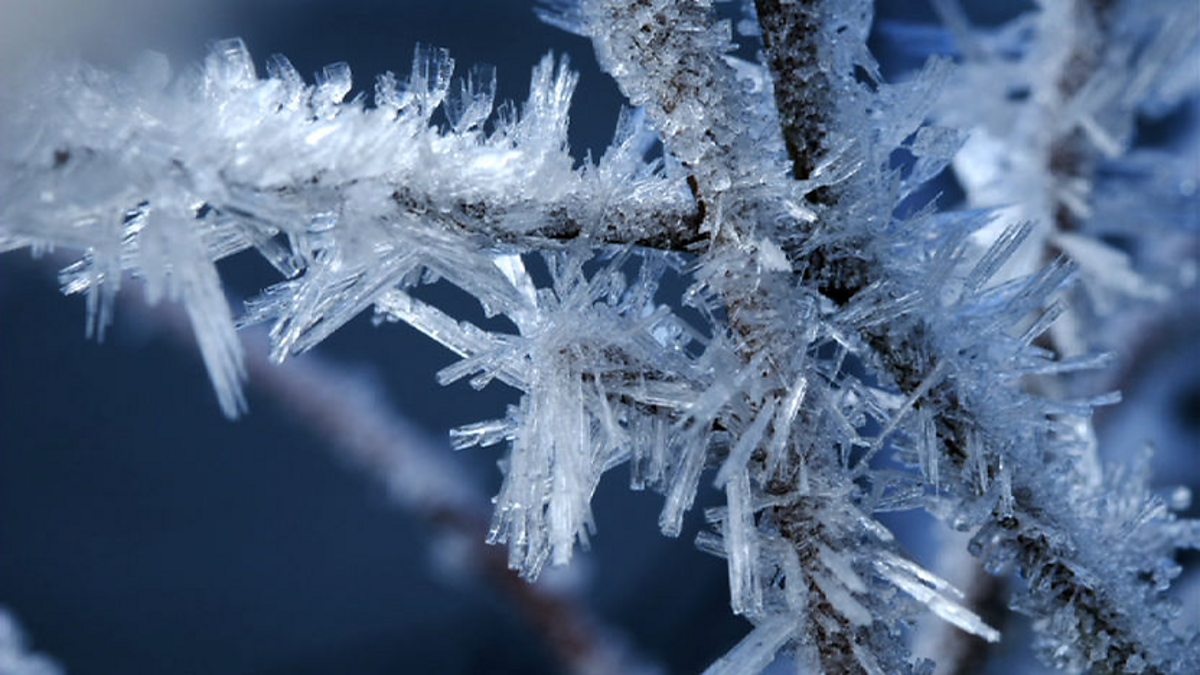 BBC One - Frozen Planet, Winter, First frost