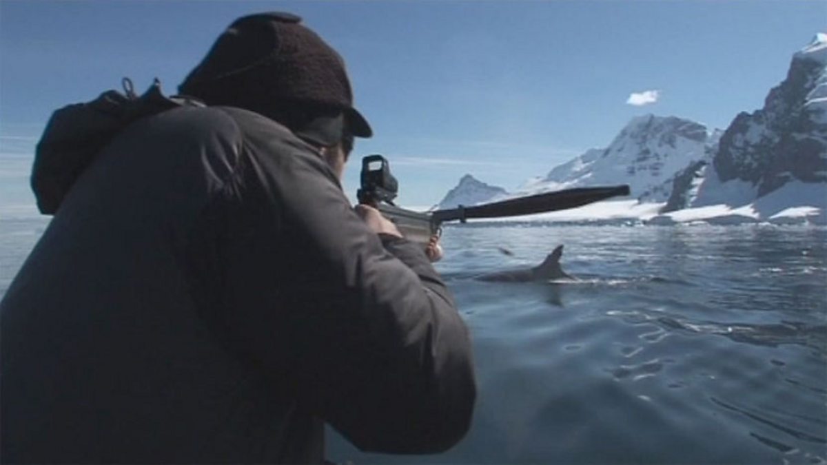 BBC One - Frozen Planet, To the Ends of the Earth, How to track a ...