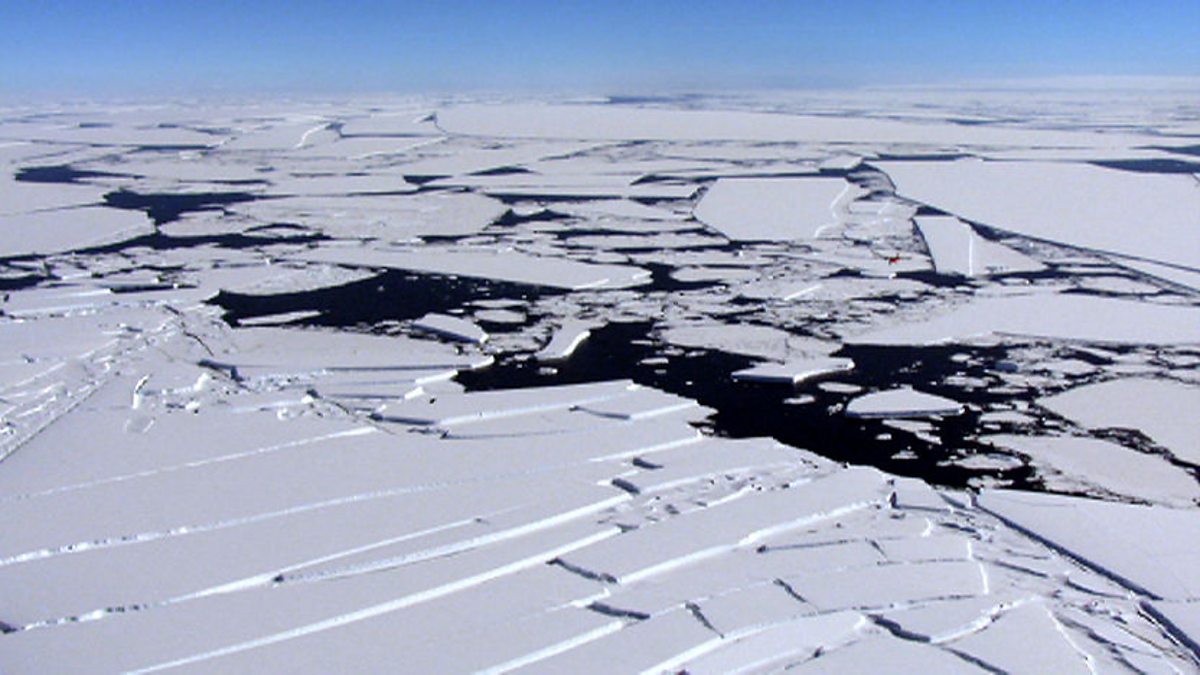BBC One - Frozen Planet, On Thin Ice, Gigantic icebergs