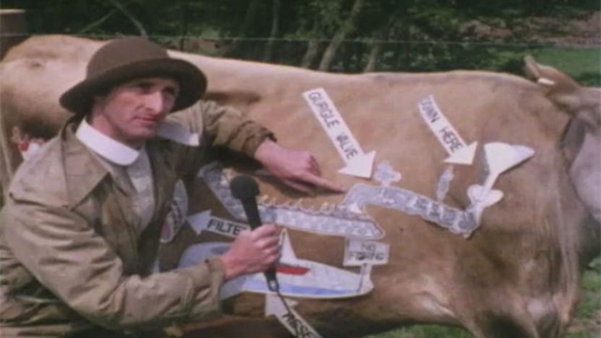 BBC Two - A Welsh Viewpoint, Light Entertainment, Ryan and Ronnie ...