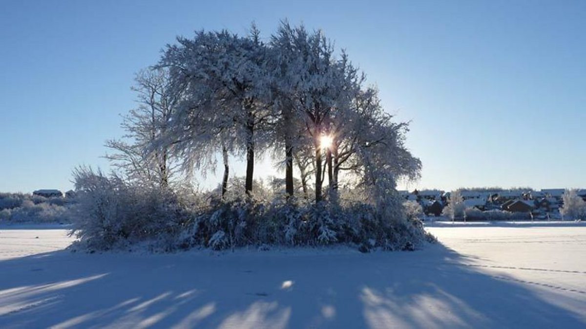 BBC Two - Springwatch, Chris Watson's winter soundscape