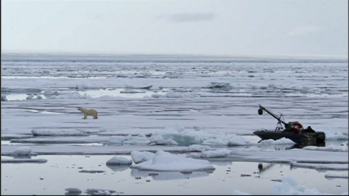 BBC One - Frozen Planet, Summer, Close encounters