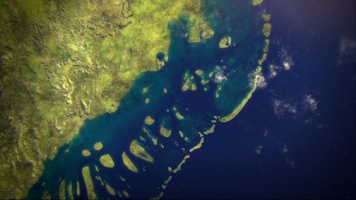 BBC Two - Great Barrier Reef, Nature's Miracle, Birth of the reef