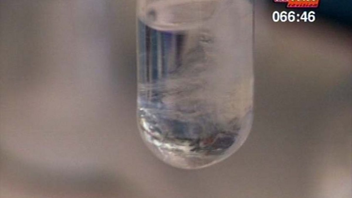 BBC Two - Key Stage Three Bitesize Revision, Science 1, Genetic Causes ...