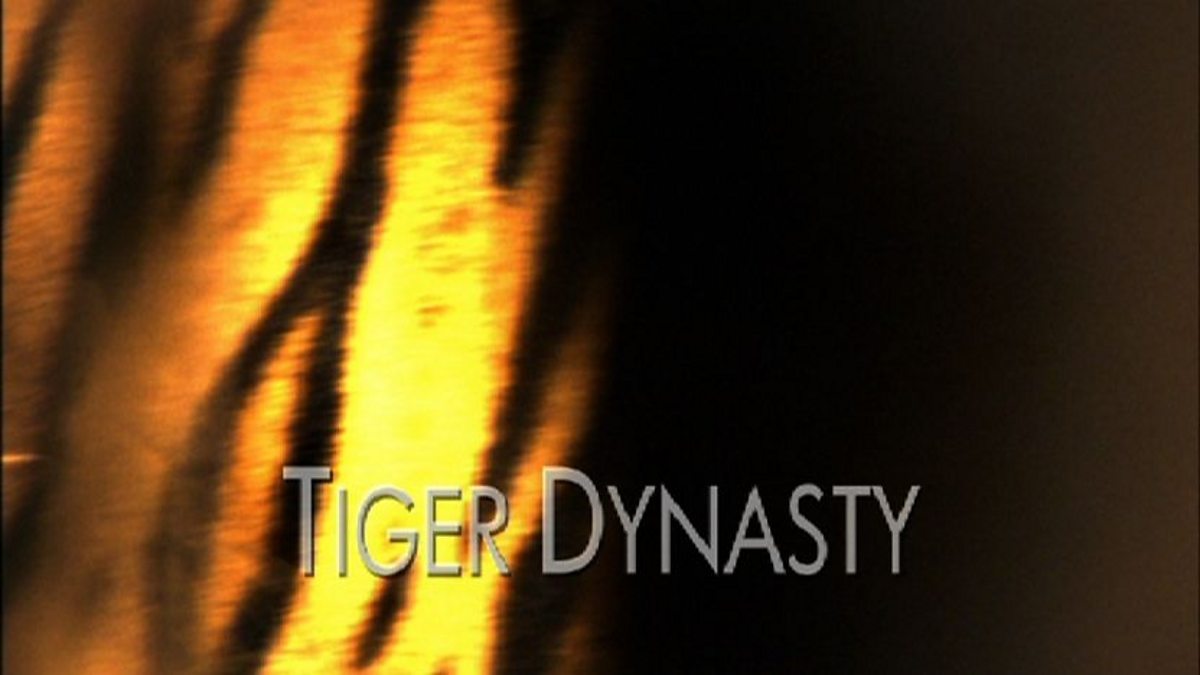 BBC Two - Natural World, 2011-2012, Tiger Dynasty, Tiger Dynasty