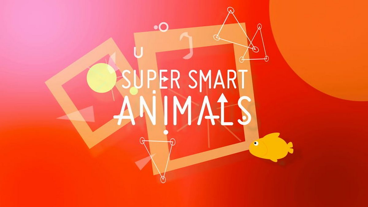 BBC One - Super Smart Animals, Super Smart Animals