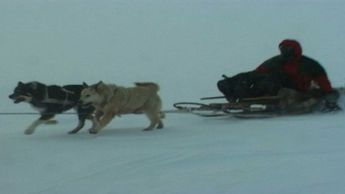 BBC Two - Ice Dogs, Episode 1, Huskies Run Loose