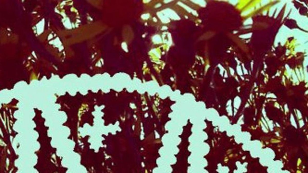 BBC Radio Cymru - C2, Sesiwn C2, Sen Segur - Dymuniadau Oren