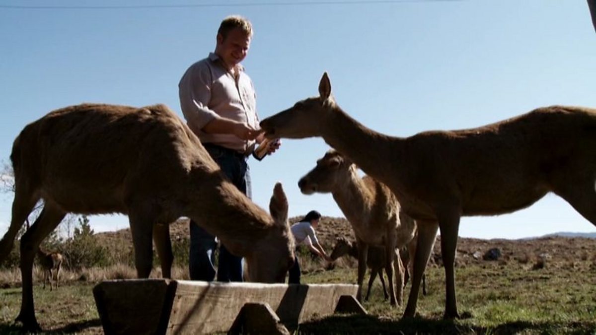 BBC Two - Shonnie the Shooter, Thoughts Of Home