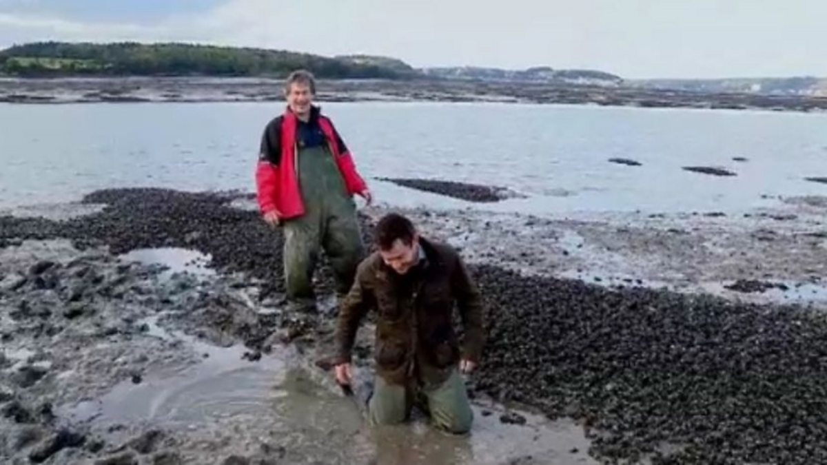 BBC Two - Our Food, North Wales, Giles Coren and Welsh Menai Strait Mussels
