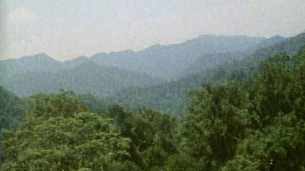 BBC One - Breakfast Time, 17/05/1988, A passionate conservationist