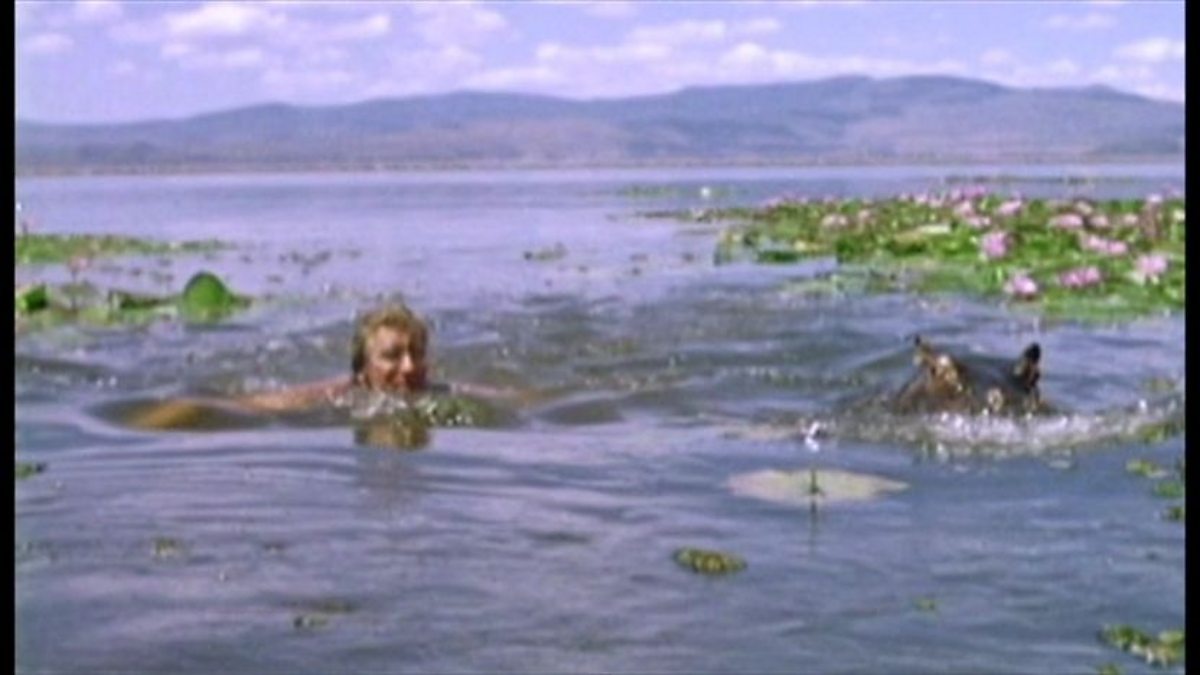 BBC One - Breakfast, 18/09/2012, Alan Root's extraordinary life with ...