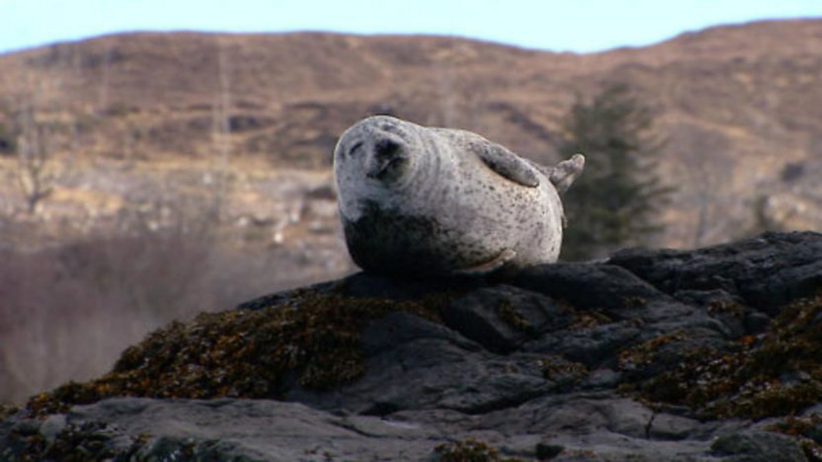 BBC Scotland - Landward, 2013/2014, Episode 3, Year of Natural Scotland