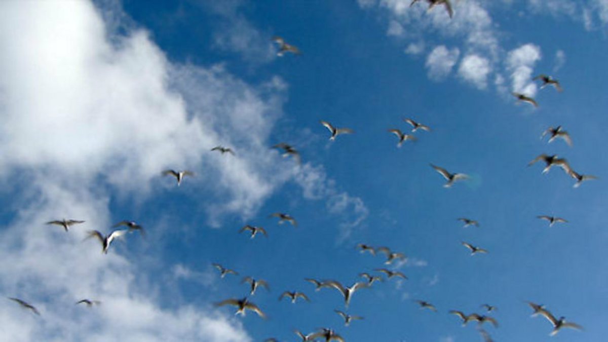 BBC Scotland - Landward, 2013/2014, Episode 14, Nature of Scotland ...