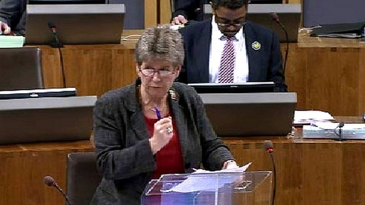 BBC Parliament - Welsh Assembly, 22/11/2014