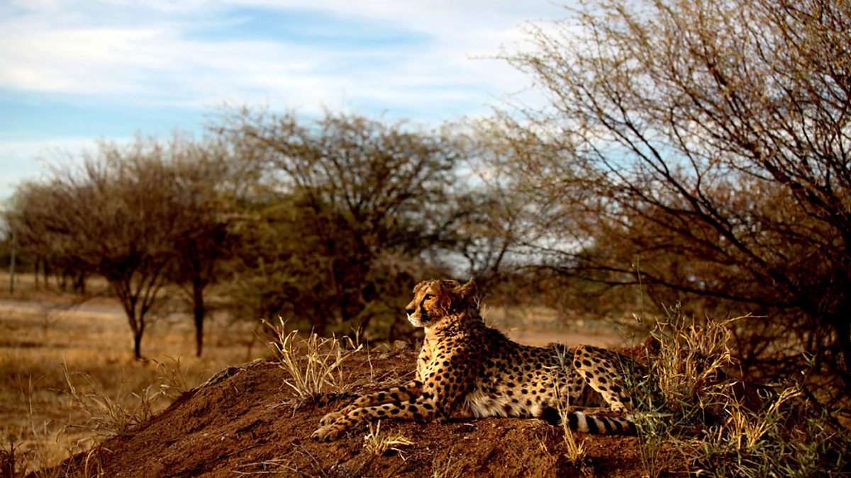 BBC News - The Travel Show, 17/01/2015 GMT, 2015’s top travel trends ...